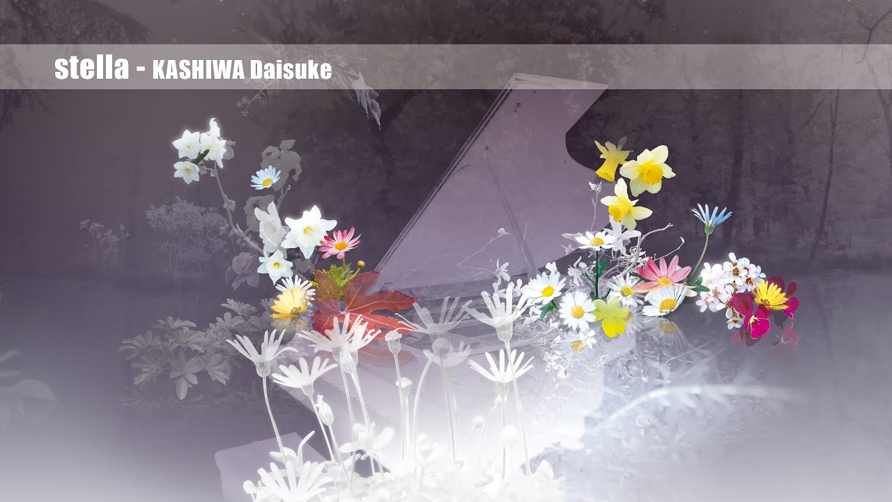 Releases - KASHIWA Daisuke